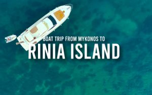 Boat trip from Mykonos to the island of Rinia | My Rental Homes